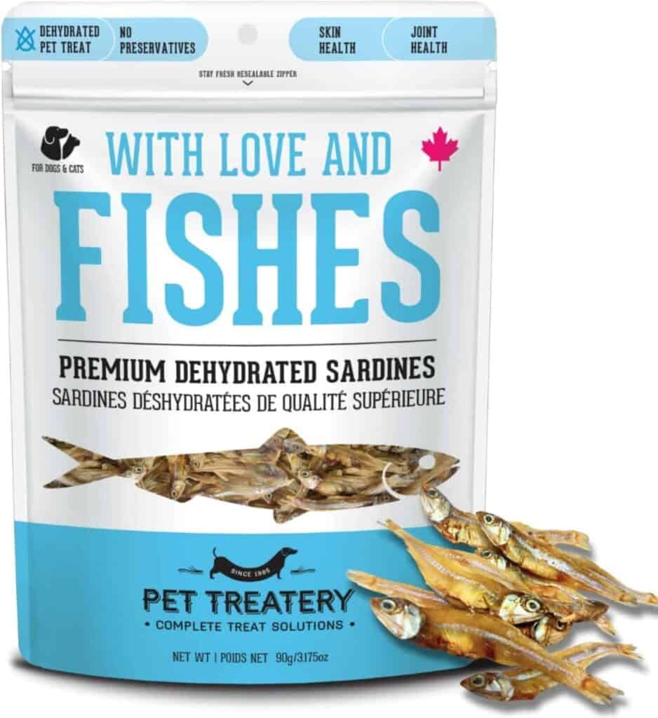 Can Cats Eat Sardines? A Vet Explains | Pet Health Love