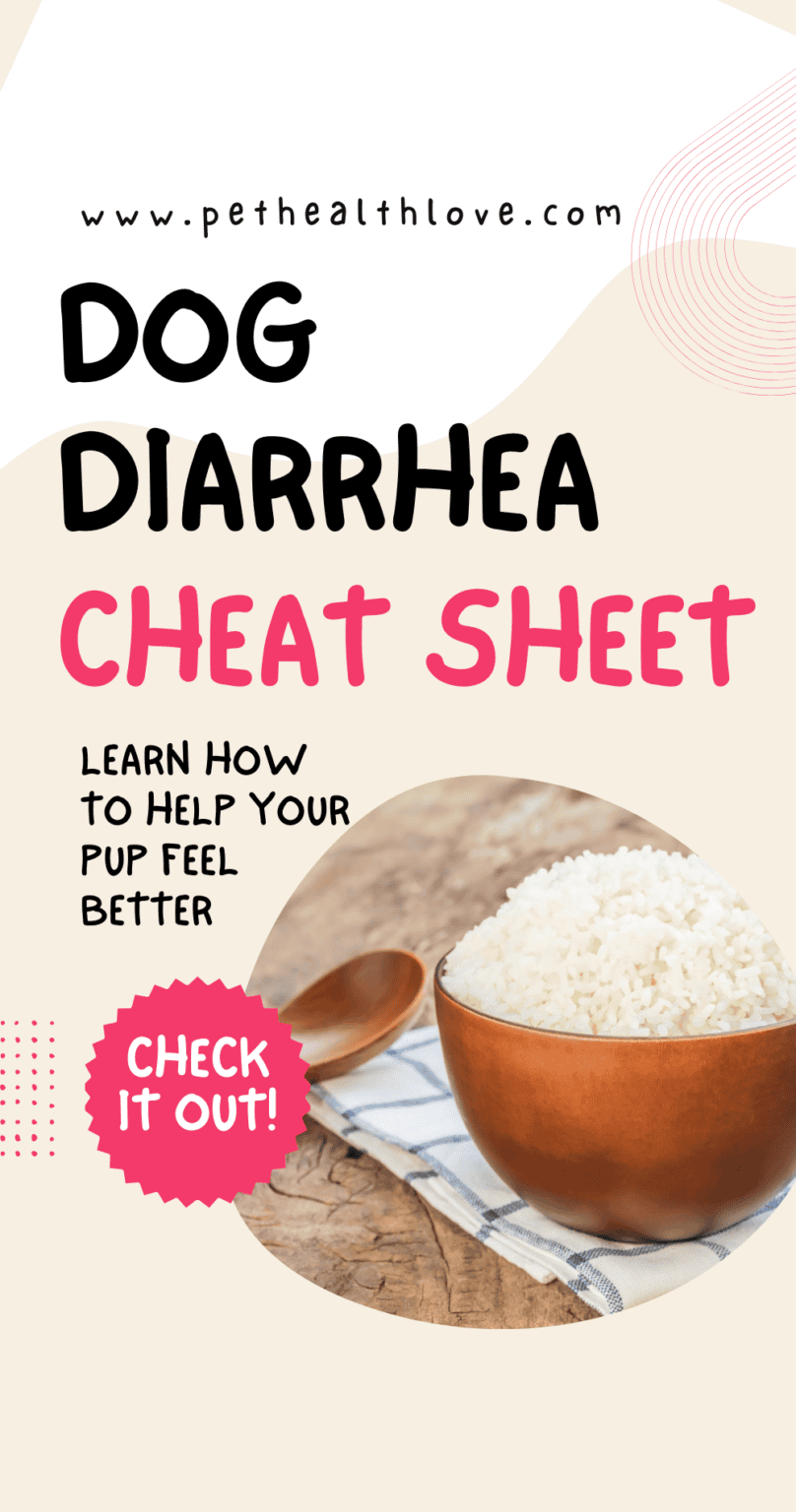 When Is Dog Diarrhea an Emergency? A Guide for Pet Owners | Pet Health Love