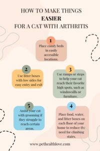 Revolutionary Arthritis Injection for Cats - New Hope for Feline Joint ...