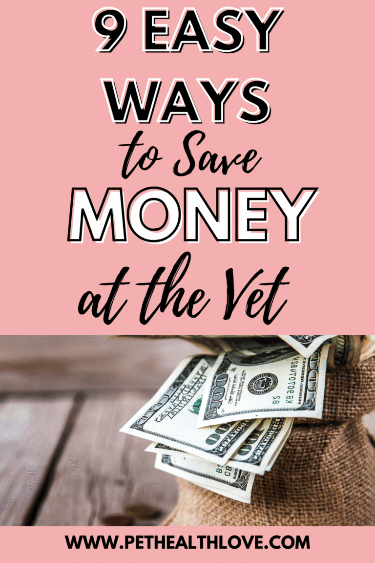 9 Simple Ways to Save Money on Rising Veterinary Bills | Pet Health Love