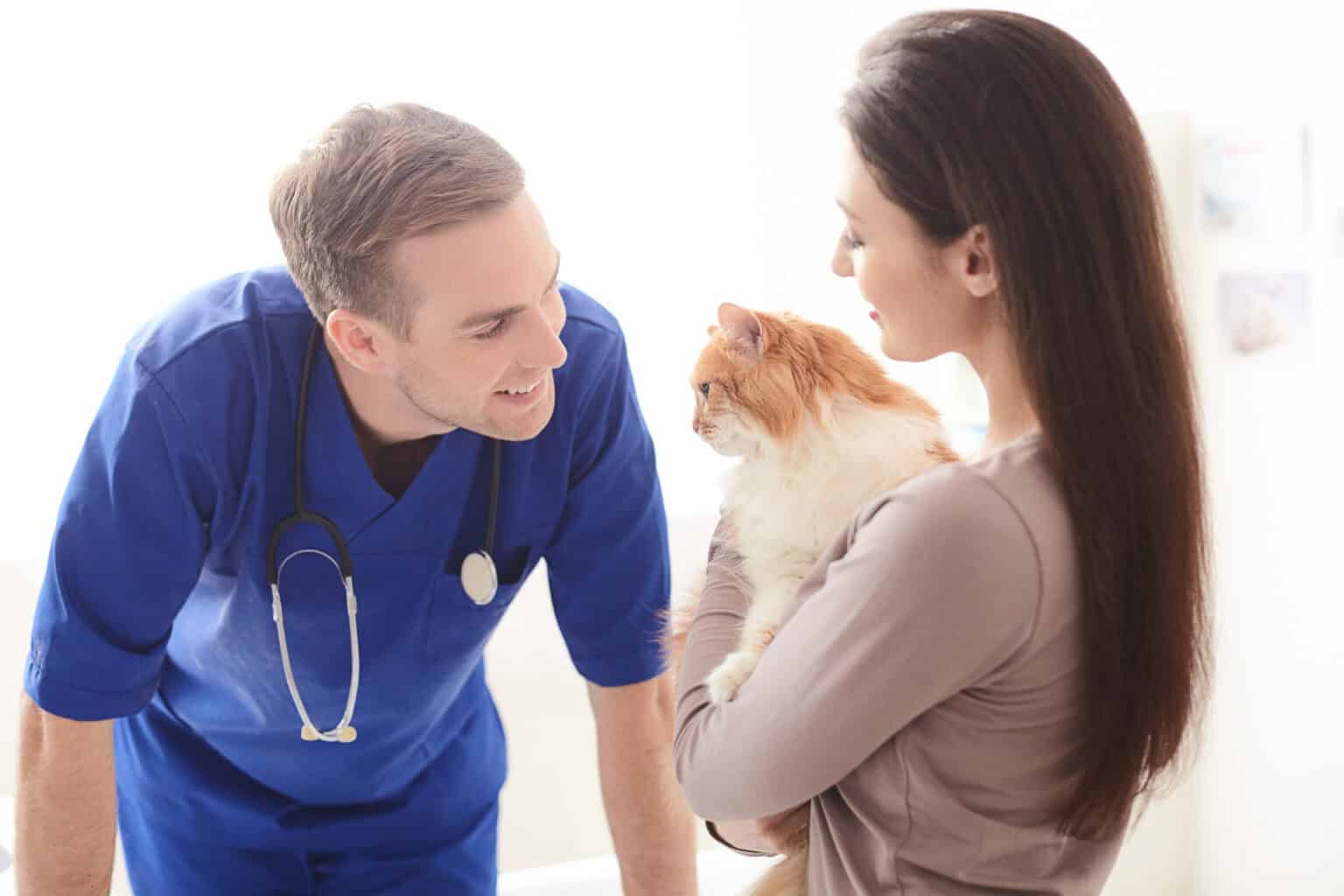 9 Simple Ways to Save Money on Rising Veterinary Bills | Pet Health Love