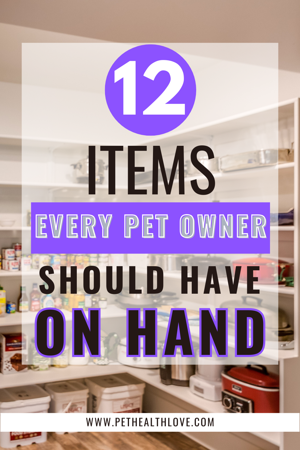 12 Must-Have Items Every Pet Owner Should Always Keep On Hand | Pet ...